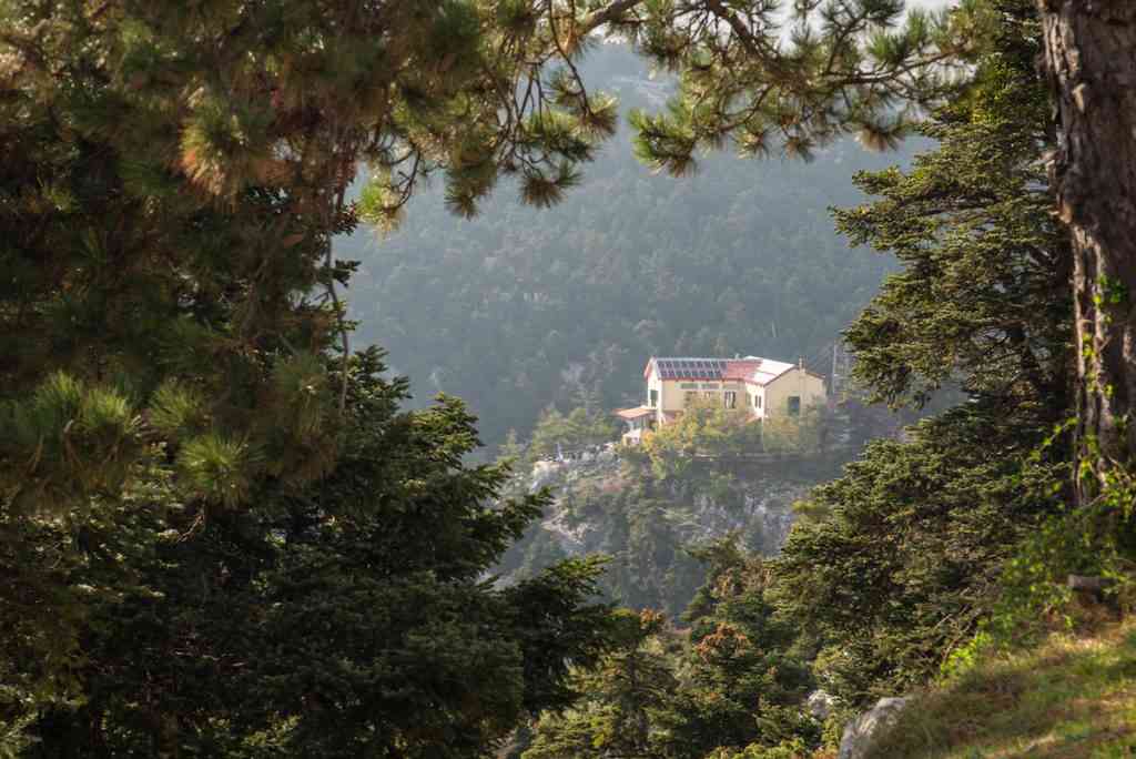 Mount Parnitha: Experience Nature Right Outside Athens